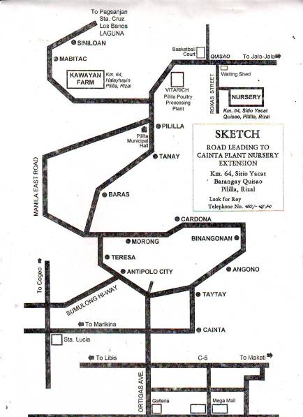Contact Us | Cainta Plant Nursery